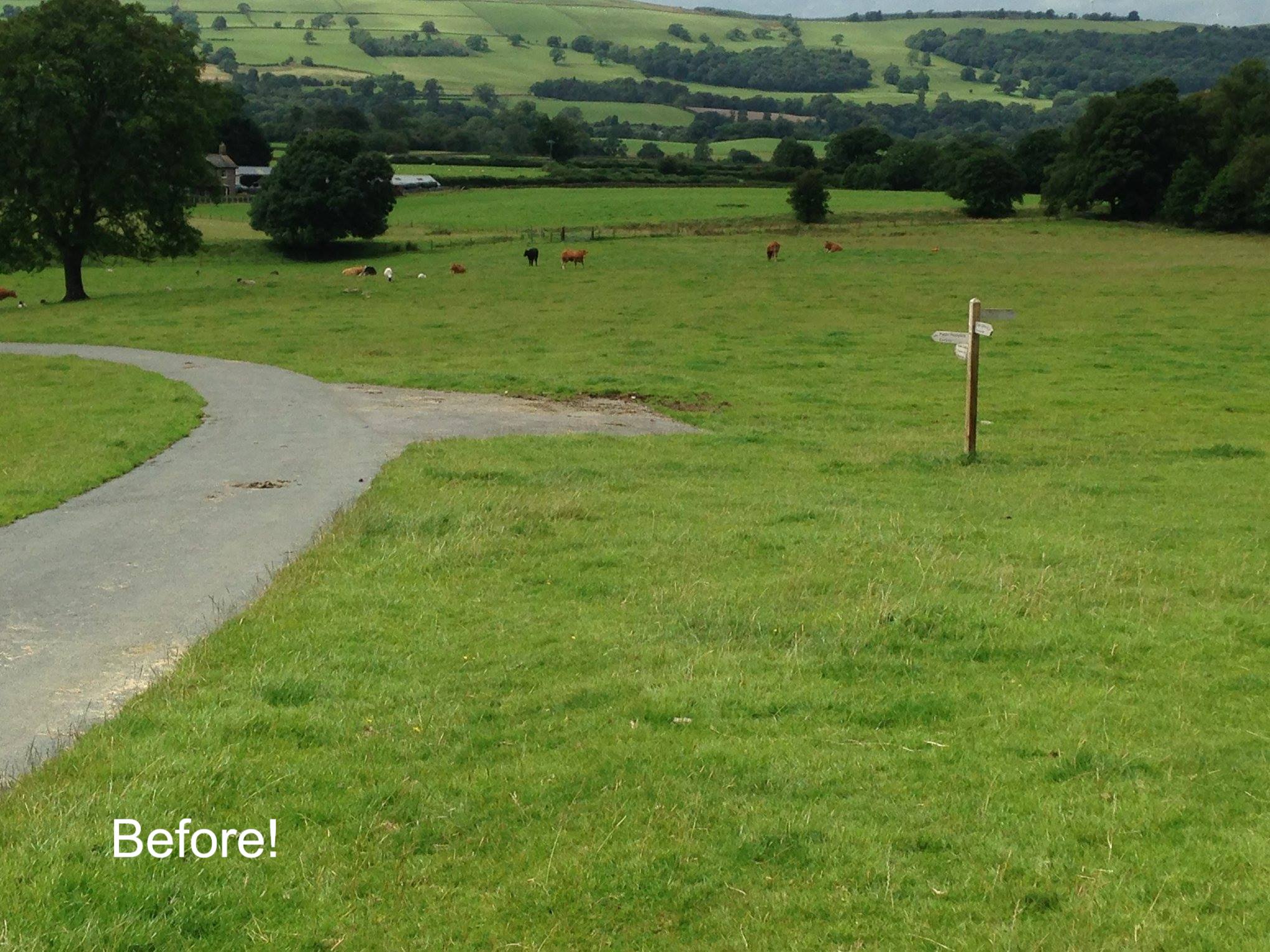 Barbon Manor Paddock Drainage Project – HillClimb UK